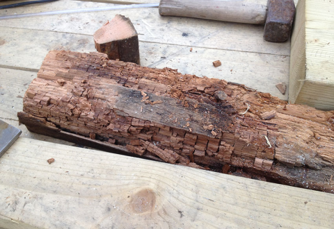 Amazing Wet Rot Repair in Liverpool | A1 Damp Proofing 2024